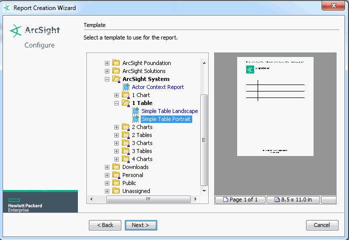 Example of Creating a Simple Report with the Wizard