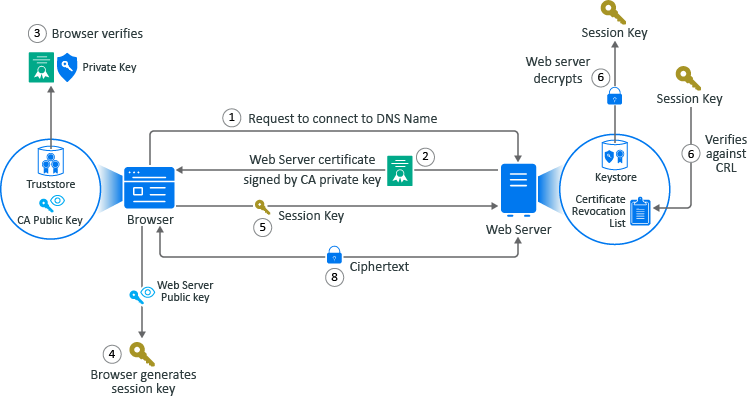 Understanding Public Key Infrastructure and TLS Components