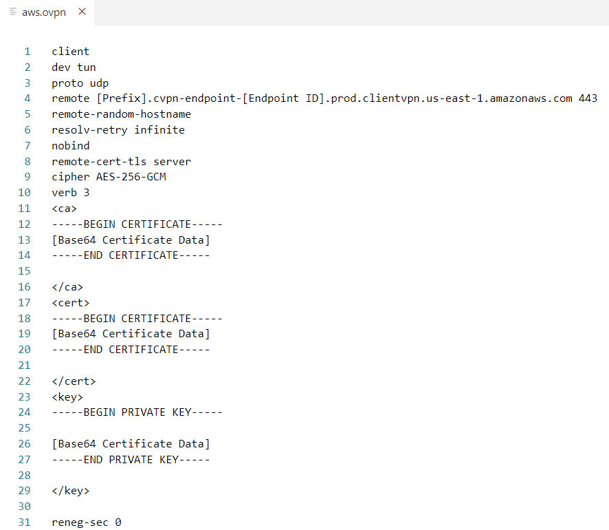 Connecting to the Client VPN EndPoint
